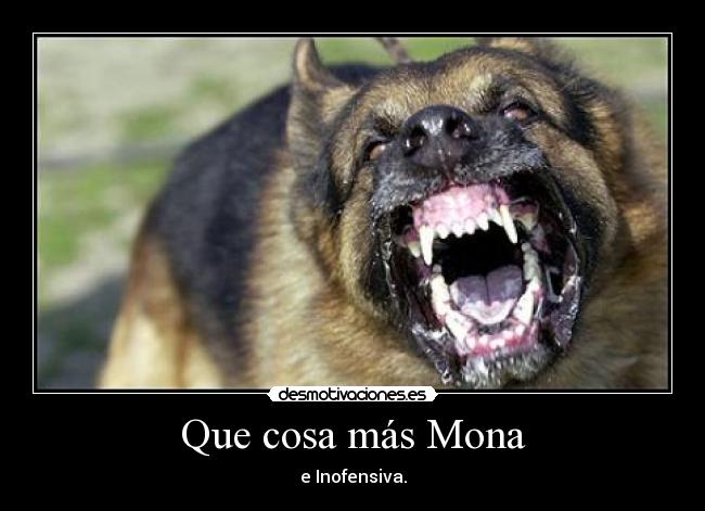Que cosa más Mona | Desmotivaciones